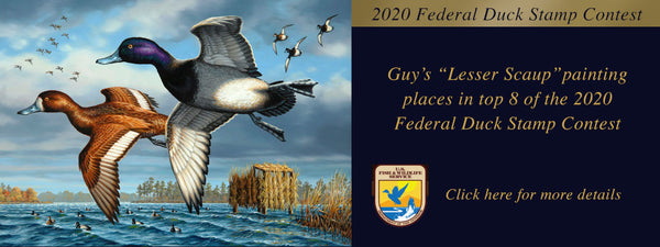 Guy places in top 8 of Federal Duck Stamp Contest - Crittenden Studio